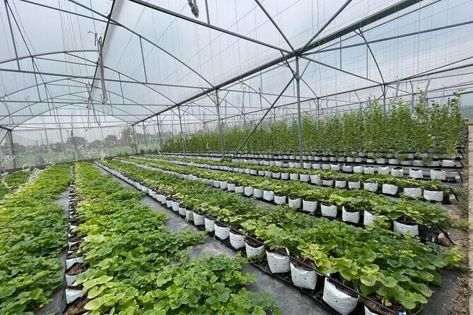 Hanoi Tour in a Bike with Cooking Class Included - The Itinerary in Detail