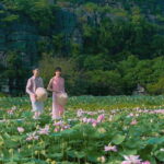 Hanoi: Trang An, Hoa L and Mua Cave 1-day Trip with Lunch - An In-Depth Look at the Tour Experience