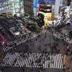 Harajuku and Shibuya Evening Walking Tour - The Experience: What Makes It Worthwhile