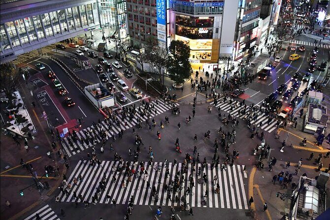 Harajuku and Shibuya Evening Walking Tour - The Experience: What Makes It Worthwhile