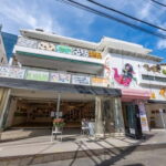 Harajuku: Art Gallery Tour with Okonomiyaki Cooking Lesson - Final Thoughts