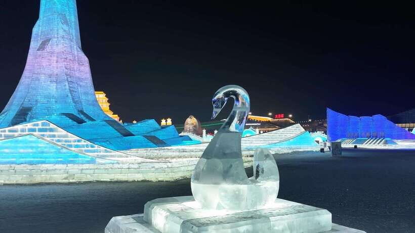 Harbin Ice and Snow Fairyland Private Day Tour - Why this tour works