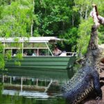 Hartley Crocodile Park with Kuranda, Skyrail Cableway and Train - Practical Considerations and Tips