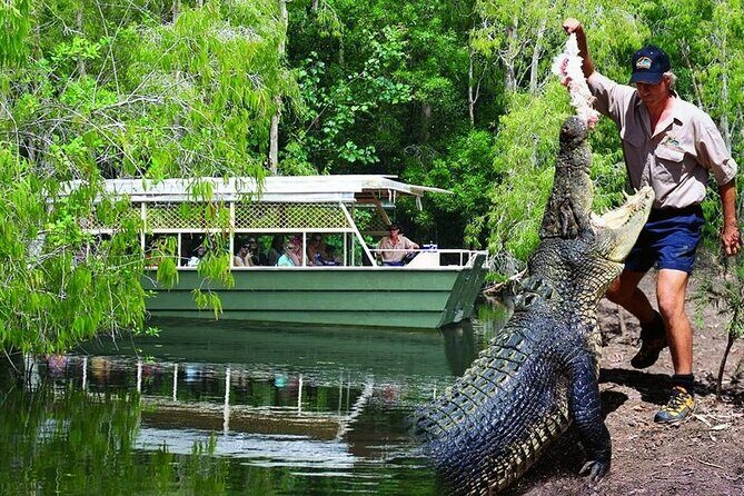 Hartley Crocodile Park with Kuranda, Skyrail Cableway and Train - Practical Considerations and Tips