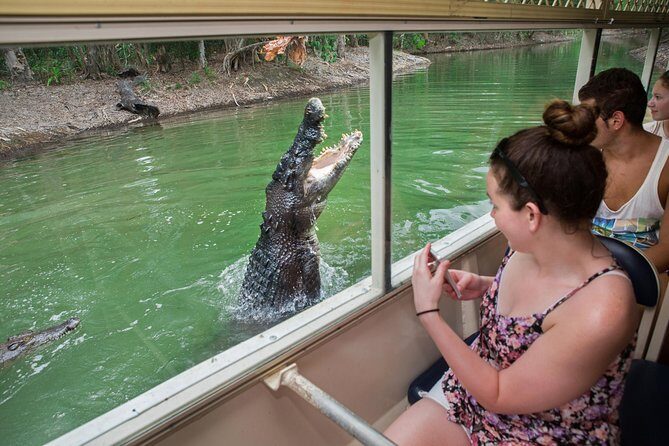 Hartley's Crocodile Adventures Day Trip from Cairns - The Itinerary – What to Expect