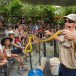 Hartley's Crocodile Adventures Day Trip from Palm Cove - Who Should Consider This Tour