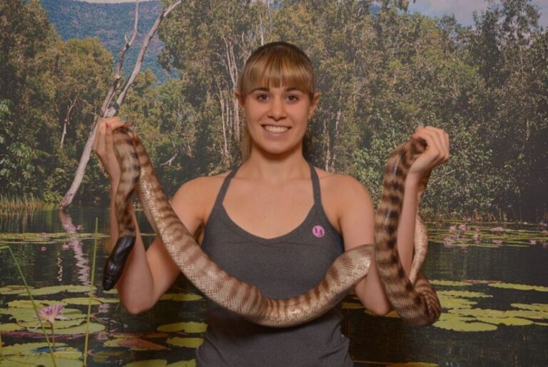 Hartley's Crocodile Adventures Park Entry - Authentic Encounters and Honest Criticism