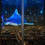 Harukas 300 Observatory Tickets | Osaka - What Makes the Observation Deck Stand Out?