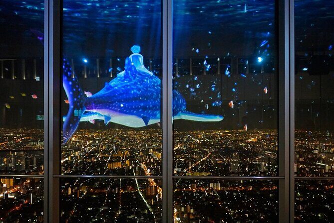 Harukas 300 Observatory Tickets | Osaka - What Makes the Observation Deck Stand Out?