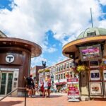 Harvard Square Donut Adventure - Authentic Experiences and Feedback