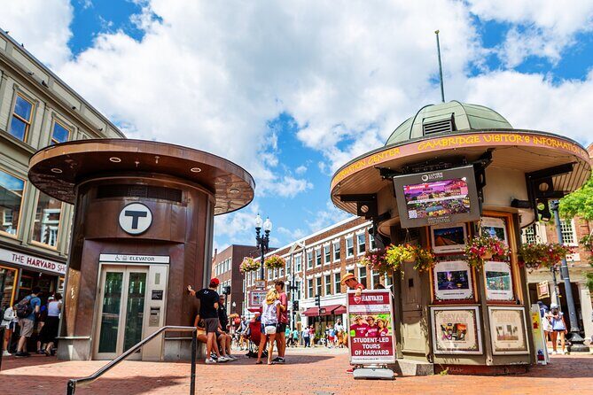 Harvard Square Donut Adventure - Authentic Experiences and Feedback