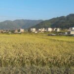 Hattiban - Champadevi: Day Hiking Tour - Who This Tour is Best For