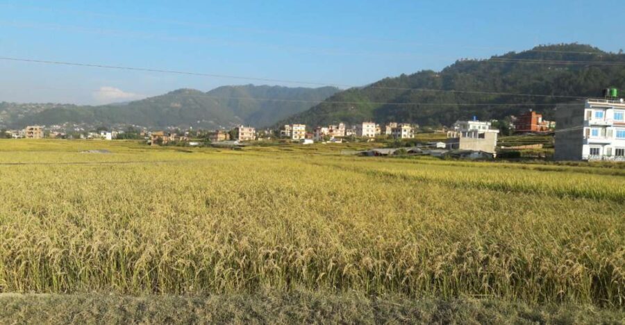 Hattiban - Champadevi: Day Hiking Tour - Who This Tour is Best For