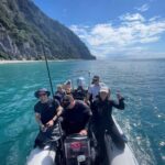 Hauraki Gulf: Hammerhead Experience Dive Charter - The Experience: What Travelers Are Saying