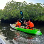 Havelock: Bioluminescence and Mangrove Kayaking Tour - Who Should Book This Tour?