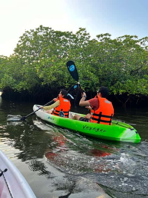 Havelock: Bioluminescence and Mangrove Kayaking Tour - Who Should Book This Tour?