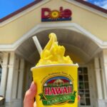 Hawaii Circle Island Tour - Who Will Love This Tour?