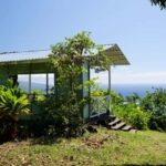 Hawaii: Hala Tree Coffee Farm Tour and Tasting - Practical Details and Value