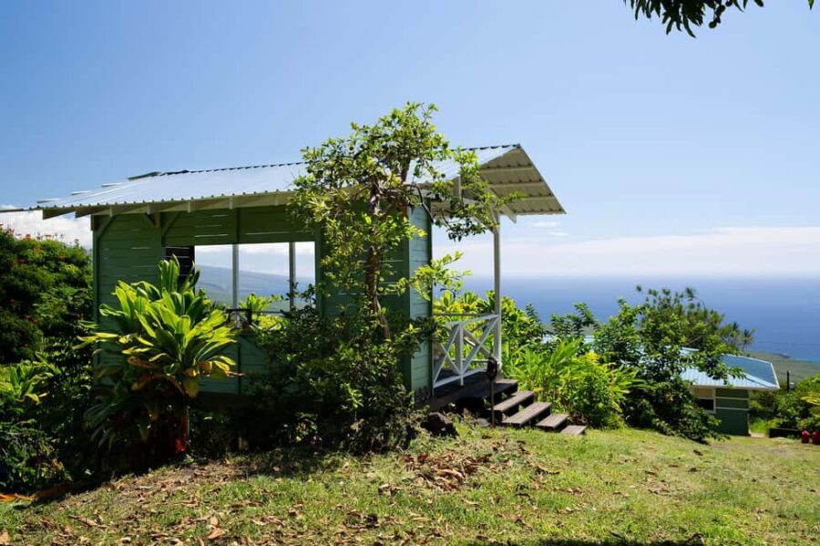 Hawaii: Hala Tree Coffee Farm Tour and Tasting - Practical Details and Value