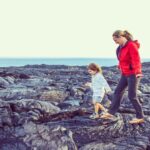 Hawaii Island Private Tour: Majestic Circle Island Adventure - A Full Breakdown of the Majestic Circle Island Adventure