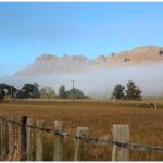 Hawkes Bay - Scenic, luncheon, wine Tour - Practical Details and Tips