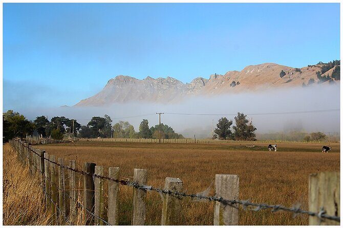 Hawkes Bay - Scenic, luncheon, wine Tour - Practical Details and Tips