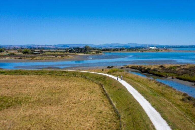 Hawke's Bay: Self Guided Coast to Vineyards Cycle Tour - Who Will Love This Tour?