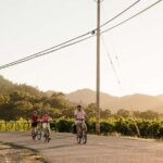 Healdsburg: Guided Electric Bike Wine Tour with Winery Stops - Why This Tour Excels