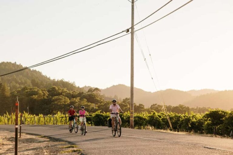Healdsburg: Guided Electric Bike Wine Tour with Winery Stops - Why This Tour Excels