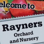 Healesville Sanctuary and Rayners Orchard Tour from Melbourne - Starting the Day: Early Departure and First Impressions