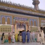 Heer Ranjha Tomb & Jhang City Pvt Guided & All-Incl. 1-day Tour - Authentic Experiences & Genuine Value