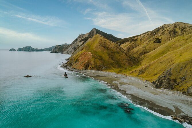 Heli-Fish Marlborough Sounds D'Urville Island Indulgence - 'Catch and Dine' - Final Thoughts: Is It Worth It?