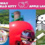 Hello Kitty Apple Land Entry TicketGift Package - Key Points