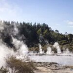 HELL'S GATE Mud Spa, Rotorua - Group Day Tour Ex Auckland - What Travelers Love & What to Consider