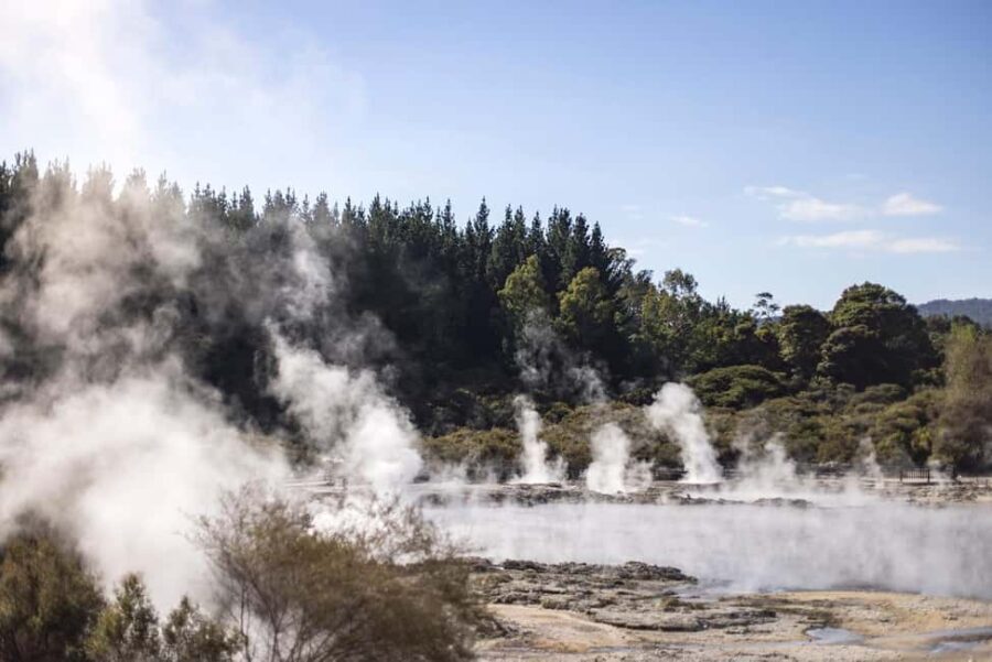 HELL'S GATE Mud Spa, Rotorua - Group Day Tour Ex Auckland - What Travelers Love & What to Consider