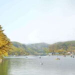 Herb Island : Sanjung Lake : Strawberry : Bidulginang Tour - Detailed Breakdown of the Itinerary