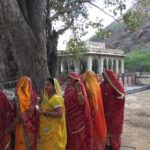 Heritage Walk & Street Food Tasting in Jaipur - What to Expect on the Heritage Walk & Food Tour in Jaipur