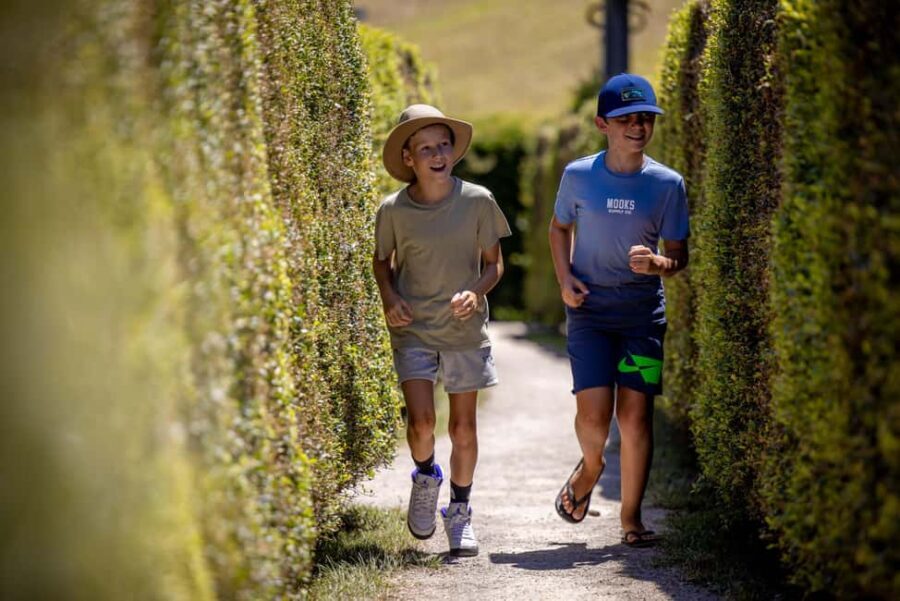 Herons Creek: Bago Maze Entry Ticket - A Close Look at What Makes Bago Maze Special