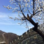 Hero's Pick: Junyongguan-Huanghuacheng-Mutianyu Great Wall One Day Hiking Tour - The Experience & Authenticity