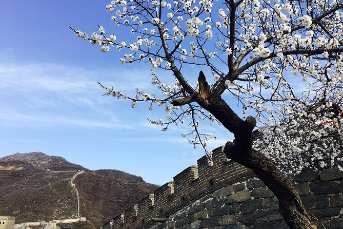 Hero's Pick: Junyongguan-Huanghuacheng-Mutianyu Great Wall One Day Hiking Tour - The Experience & Authenticity