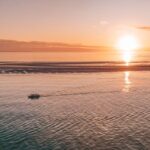 Hervey Bay and Fraser Coast Sunset Cruise - What the Reviews Tell Us