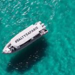 Hervey Bay: Half Day Whale watching & Island Stop Tour - The Sum Up