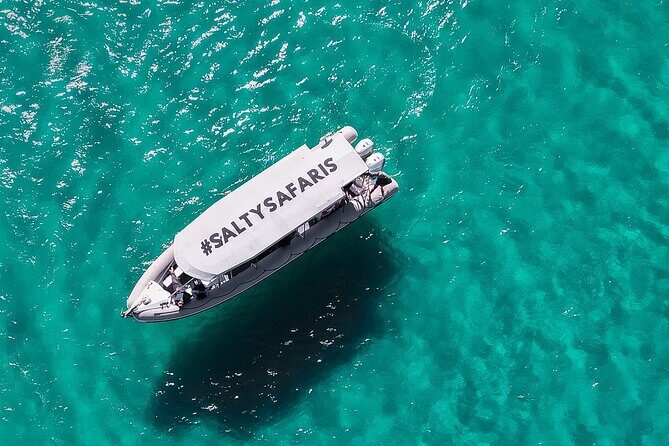Hervey Bay: Half Day Whale watching & Island Stop Tour - The Sum Up