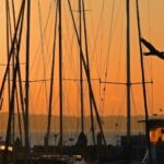 Hervey Bay: Relaxing Sunset Cruise with Champagne and Prawns - The Value of This Sunset Cruise