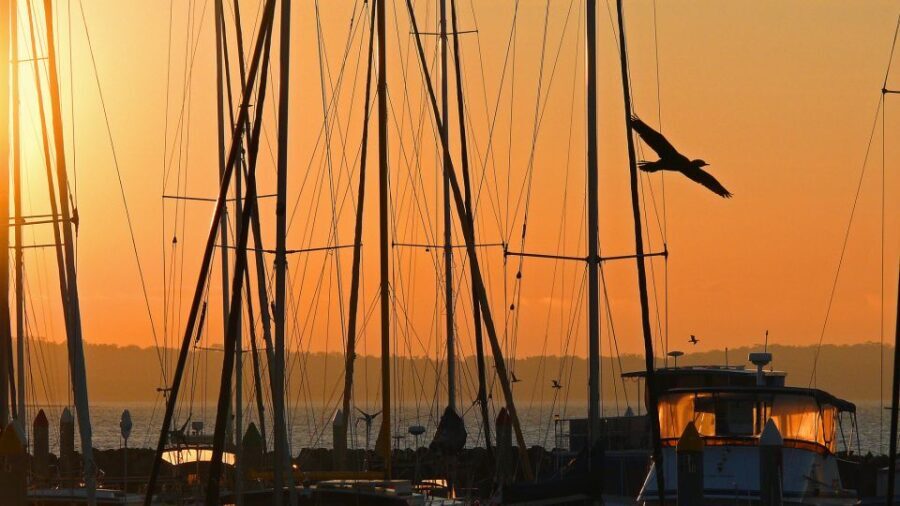 Hervey Bay: Relaxing Sunset Cruise with Champagne and Prawns - The Value of This Sunset Cruise