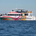 Hervey Bay: Sunset Cruise to Great Sandy Marine Park - The Details: Why This Tour Offers Good Value