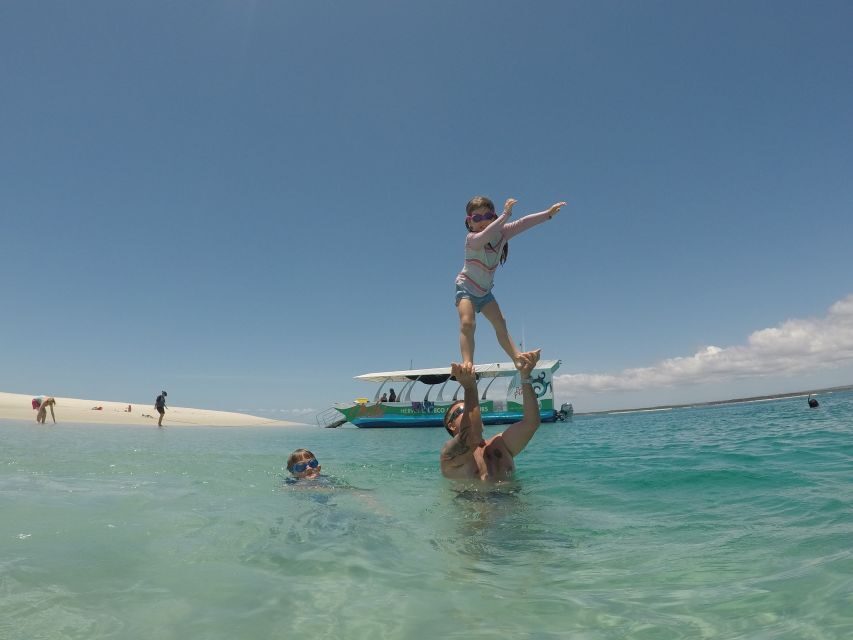 Hervey Bay: Turtle Discovery Eco Tour - What Makes This Tour Special
