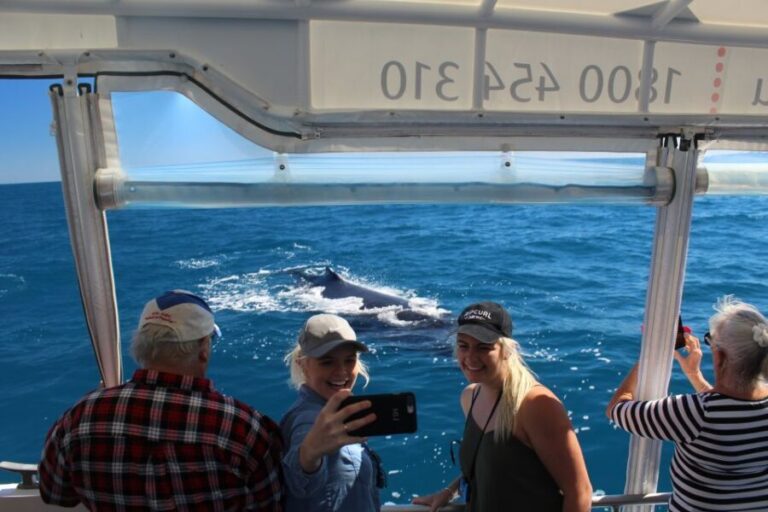 Hervey Bay: Ultimate Whale Watching Experience - What Makes the Tour Stand Out
