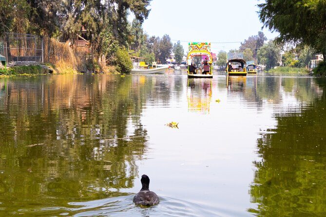 Hidden Canals of Tláhuac: A Peaceful Alternative to Xochimilco - Who Is This Tour Best For?