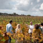 Hidden Gems: Full-Day Wine, Scones, Lunch and Local Produce Tour - Who Will Appreciate This Tour?